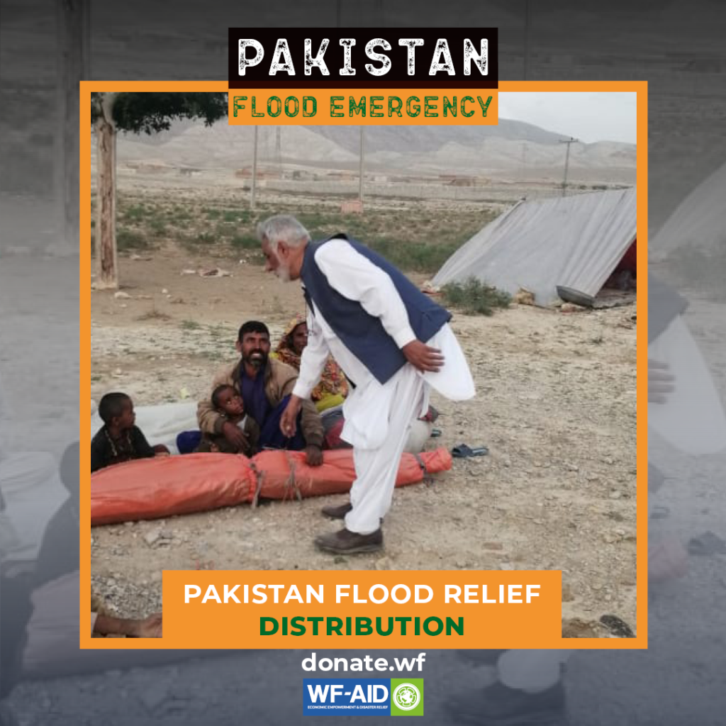 Pakistan Flood Emergency - WF AID