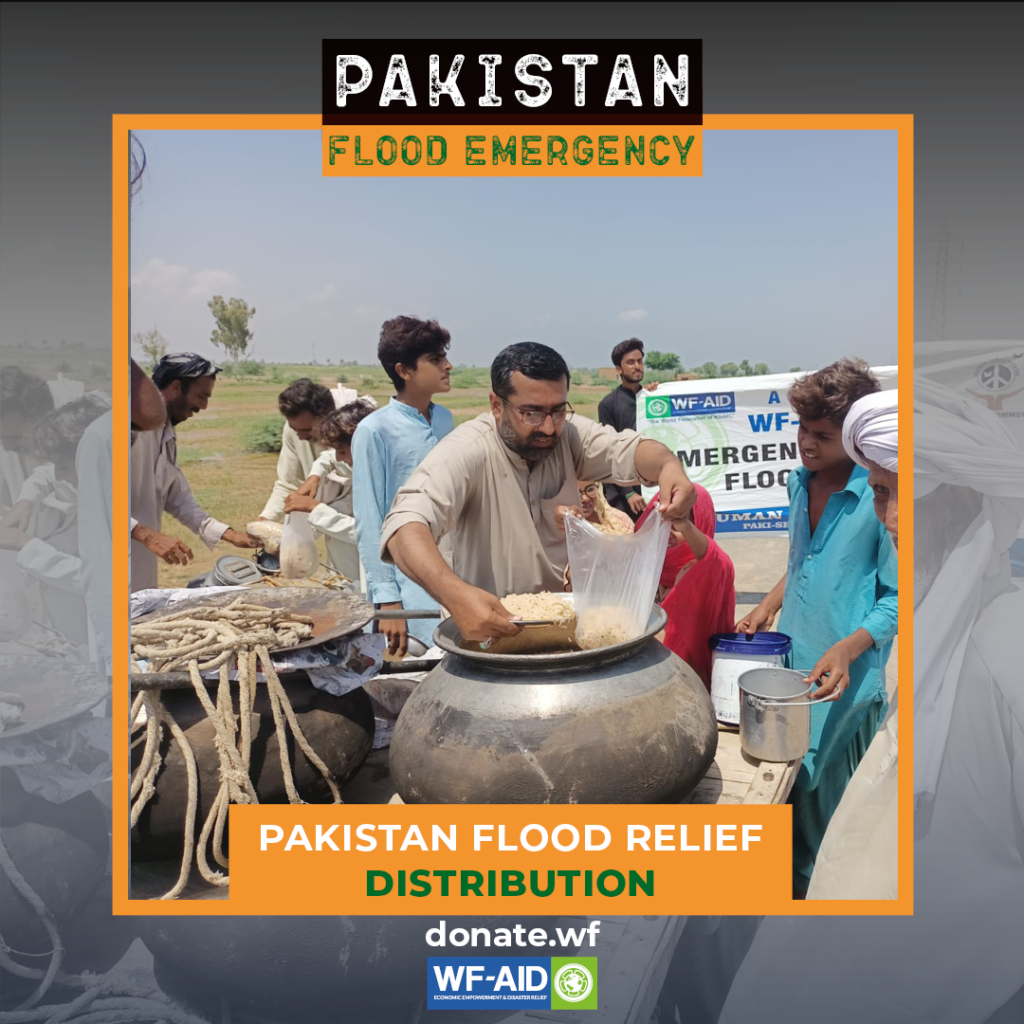 Pakistan Flood Emergency - WF AID